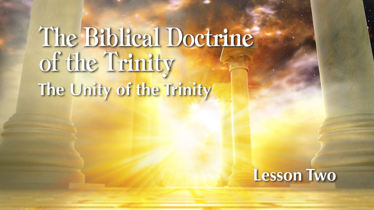 The Biblical Doctrine of the Trinity: The Unity of the Trinity: Forum