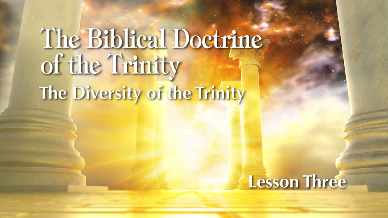 The Biblical Doctrine of the Trinity: The Diversity of the Trinity: Forum
