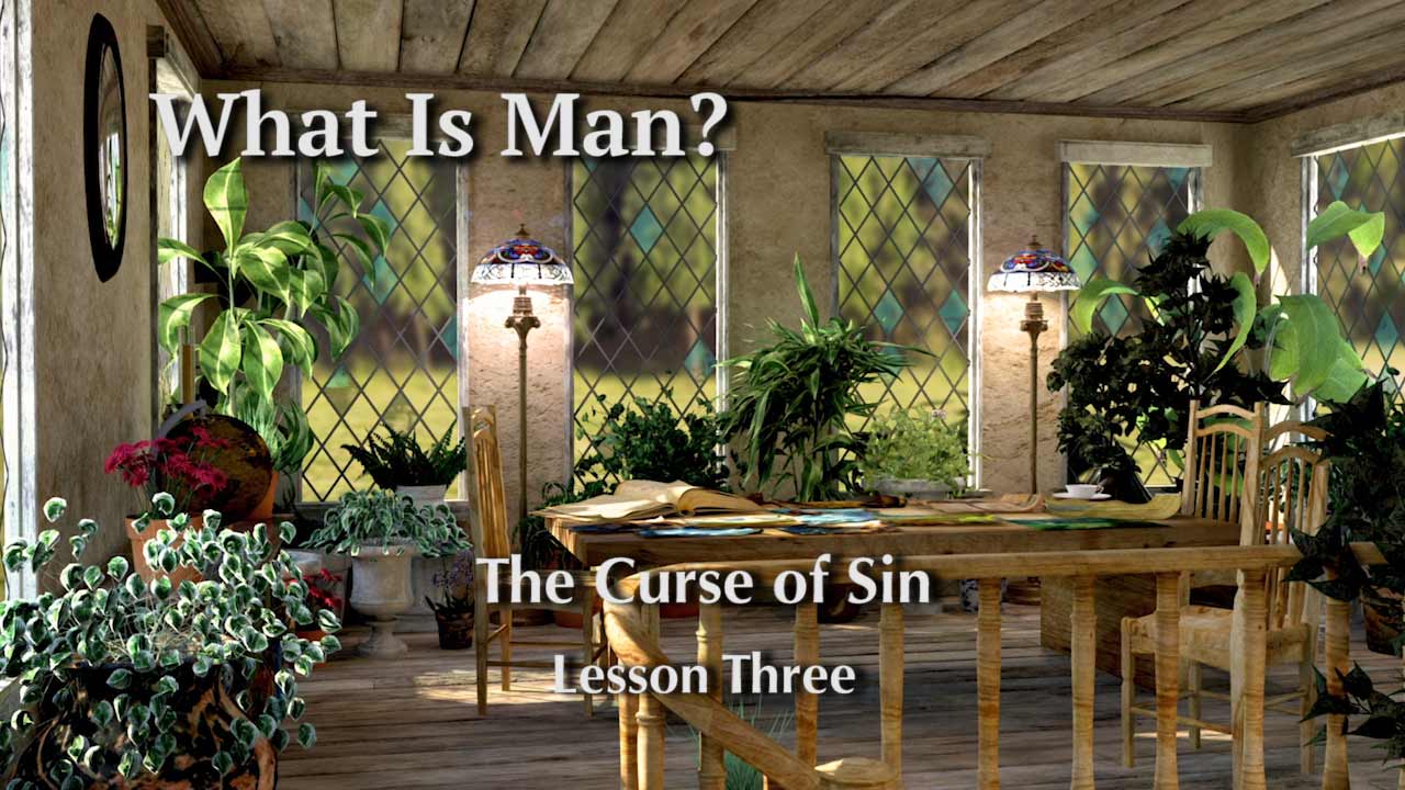 What Is Man?: The Curse of Sin